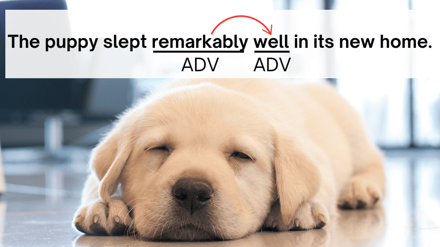 What Do Adverbs Modify? (+ Examples and a Quiz) - Om Proofreading